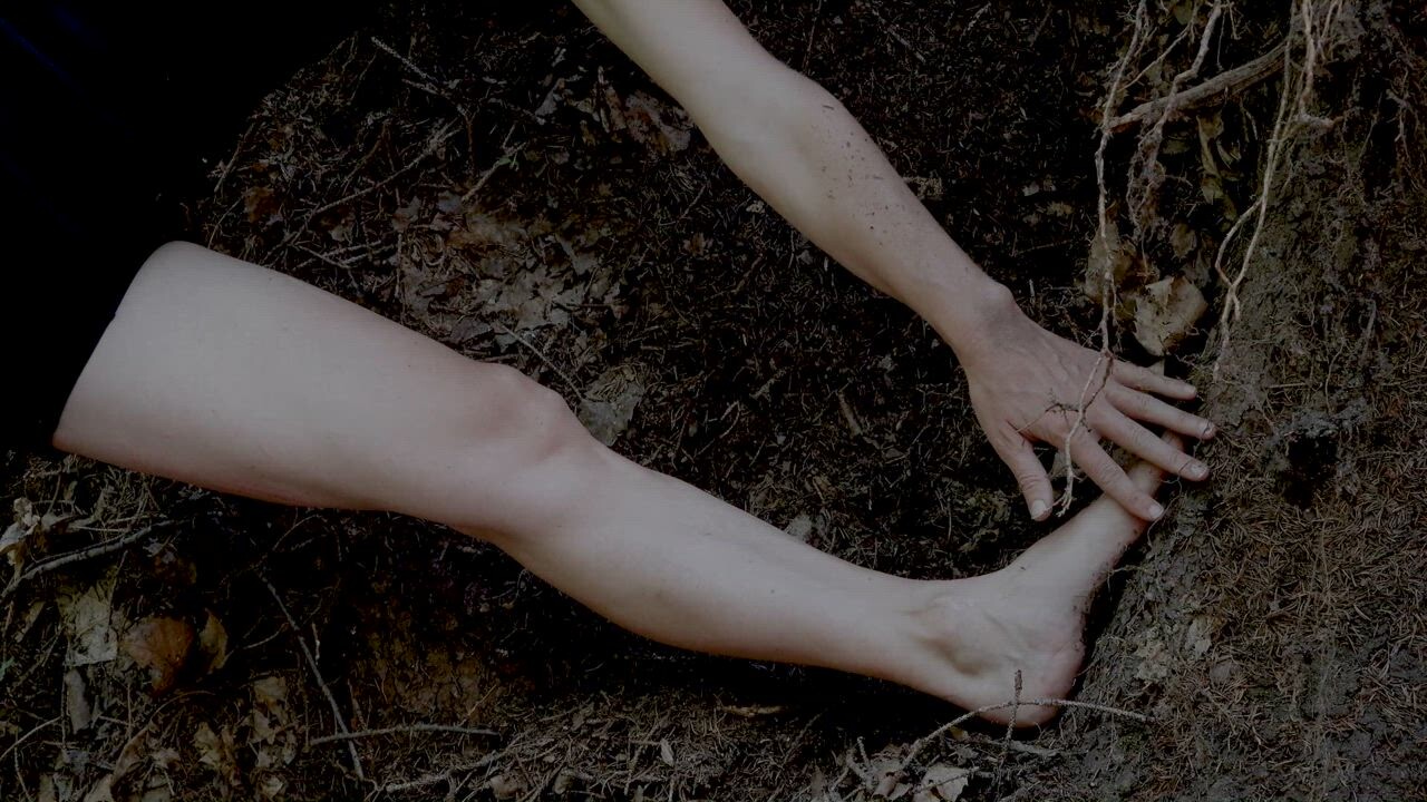 The Worm - ecotone study #1 - FilmFreeway