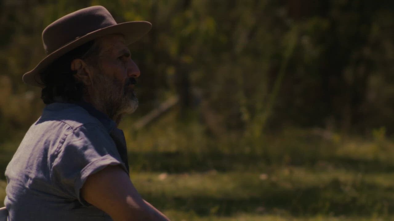 'Seeds of Gold' - FilmFreeway