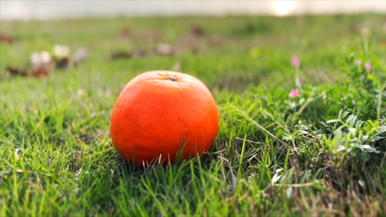 The Sublime Object of an Orange - FilmFreeway