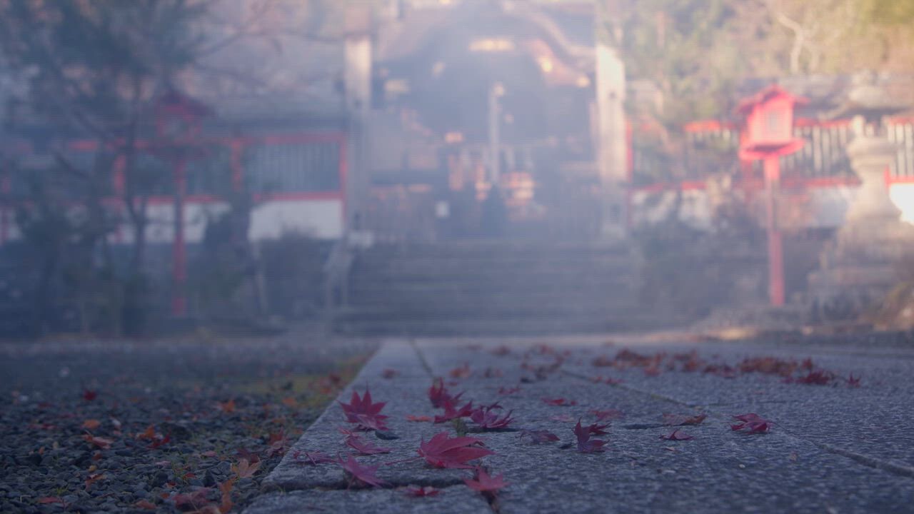 NEXT STOP - FilmFreeway