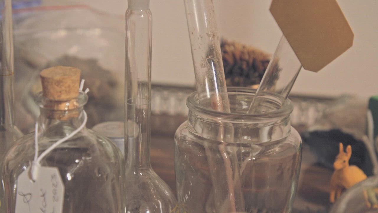 Human Cocktail - FilmFreeway