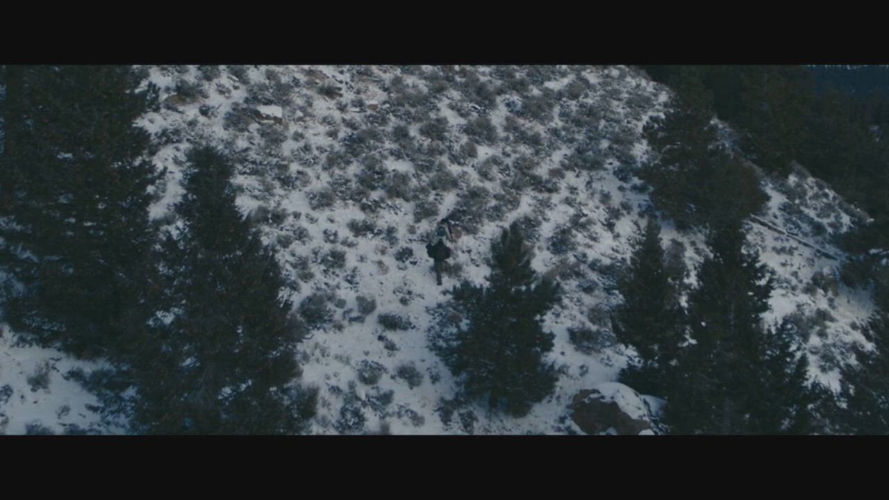 Taylor Harris - FilmFreeway