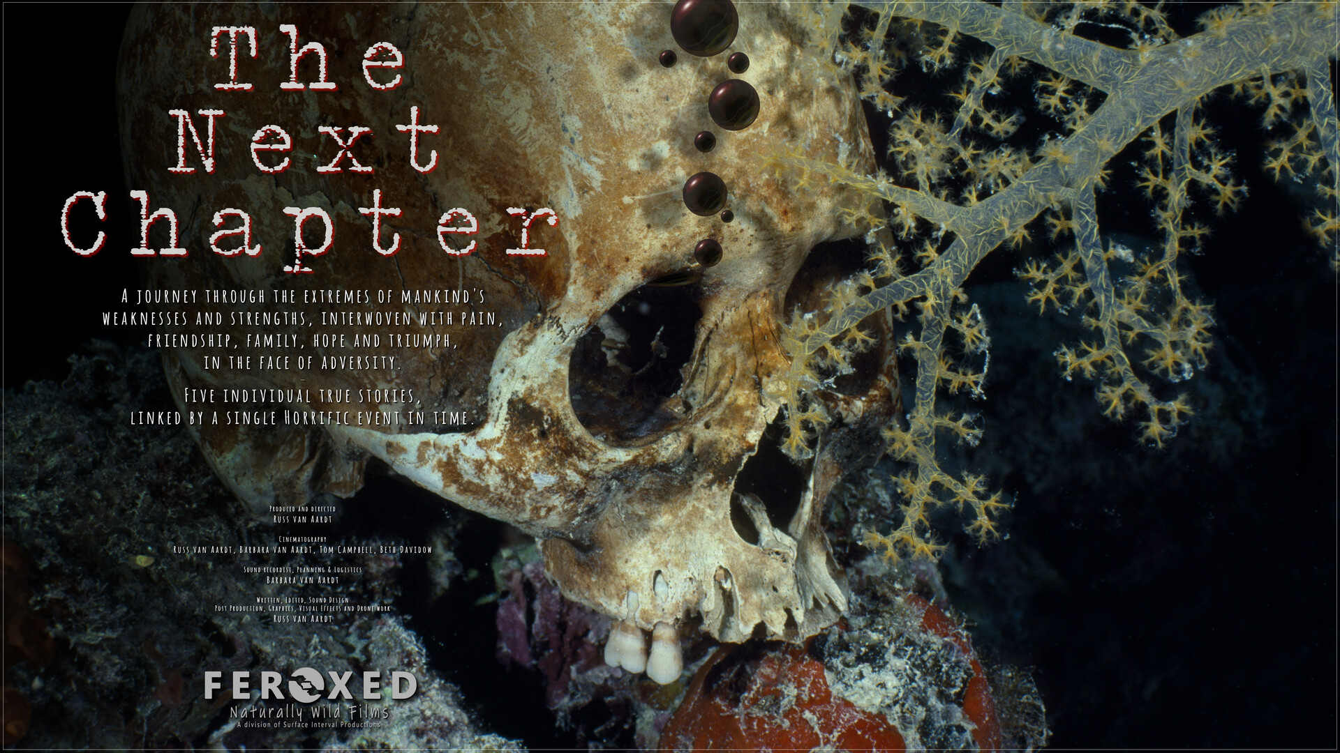 The Next Chapter - FilmFreeway