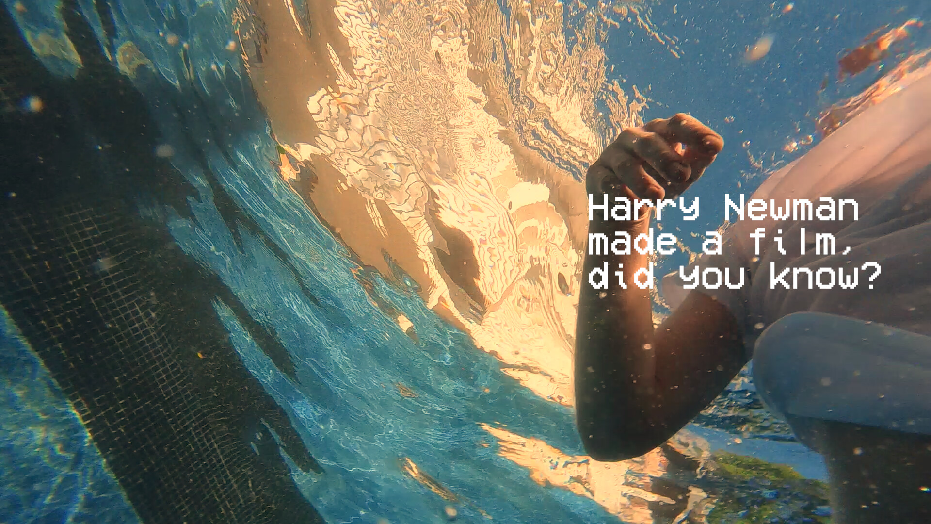 Harry Newman Made a Film, Did You Know? - FilmFreeway