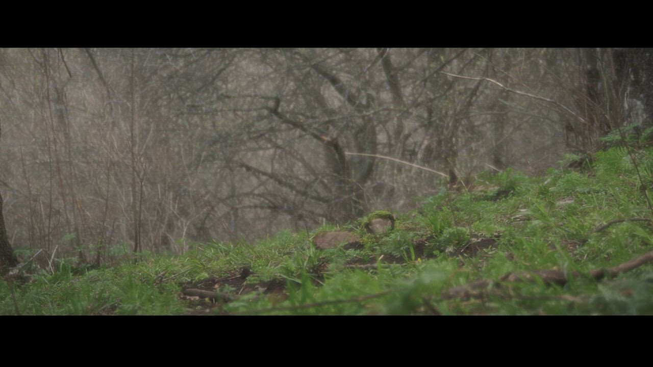 Bitpes/Endless - FilmFreeway