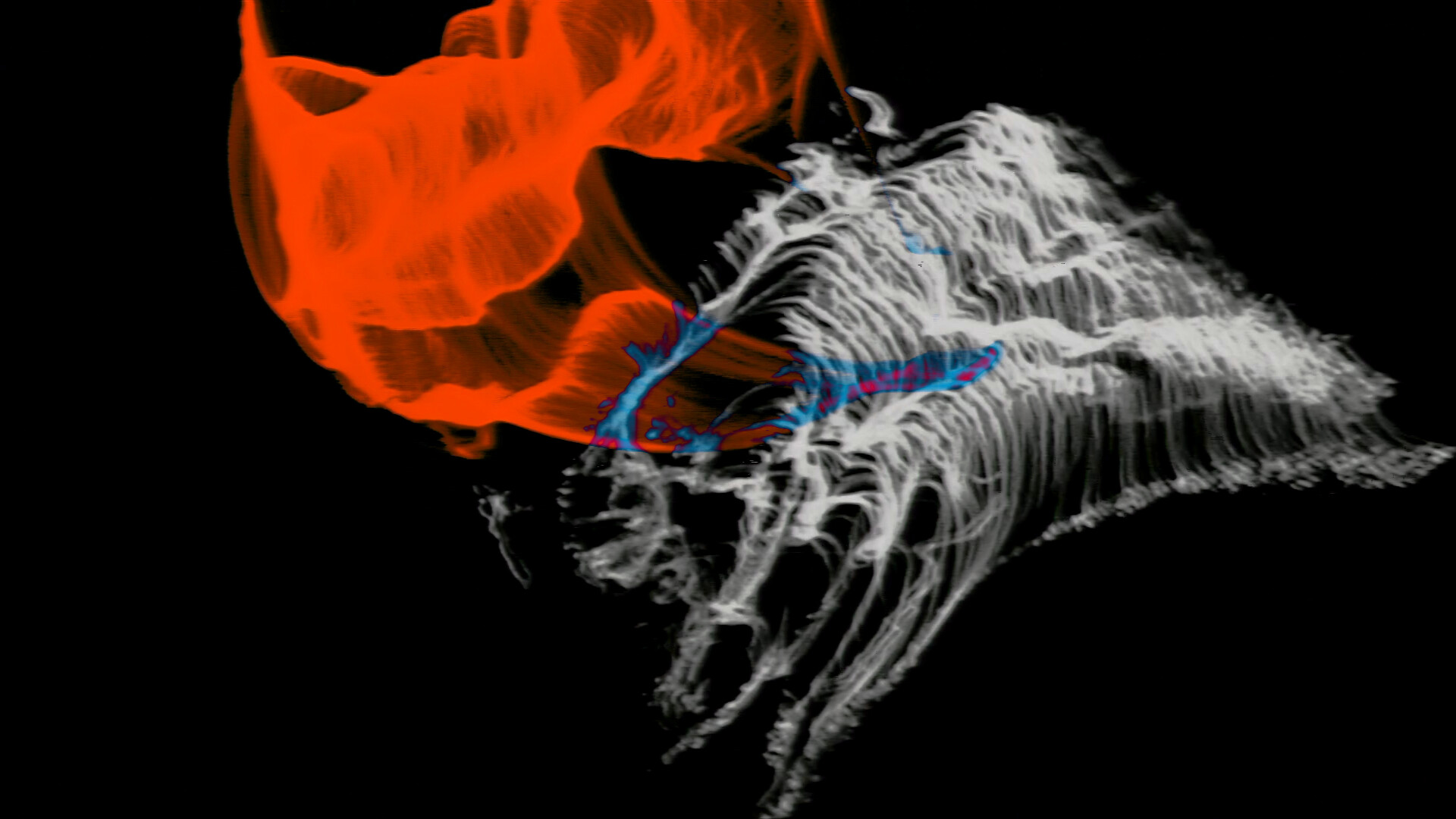 The Eternal Recurrence of Unique Conditions - FilmFreeway