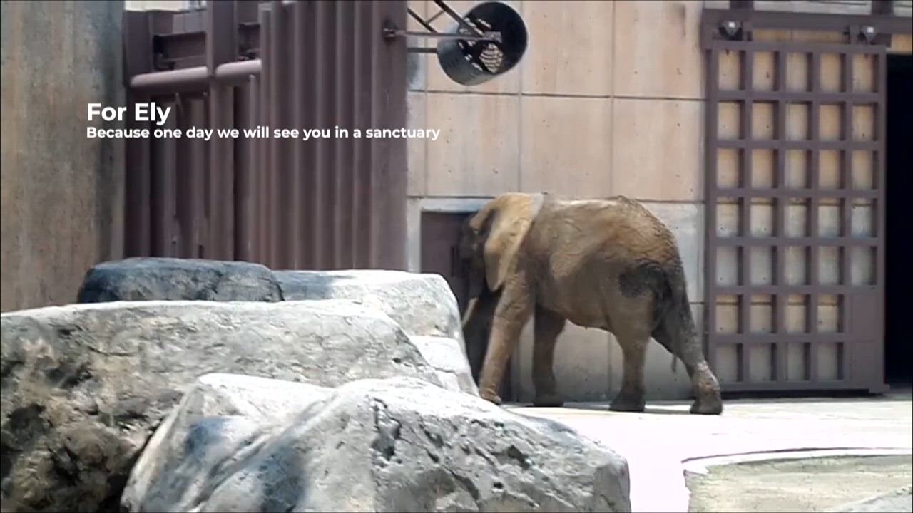 Confinement - FilmFreeway