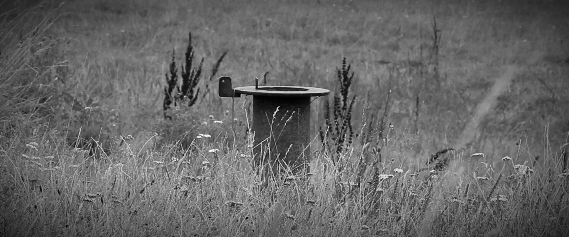 Ambient Dread, Cosmic Indifference - FilmFreeway