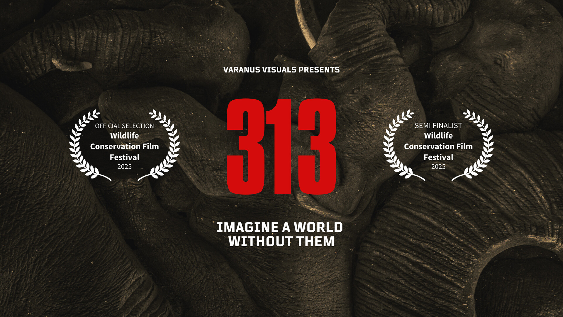 313 - FilmFreeway