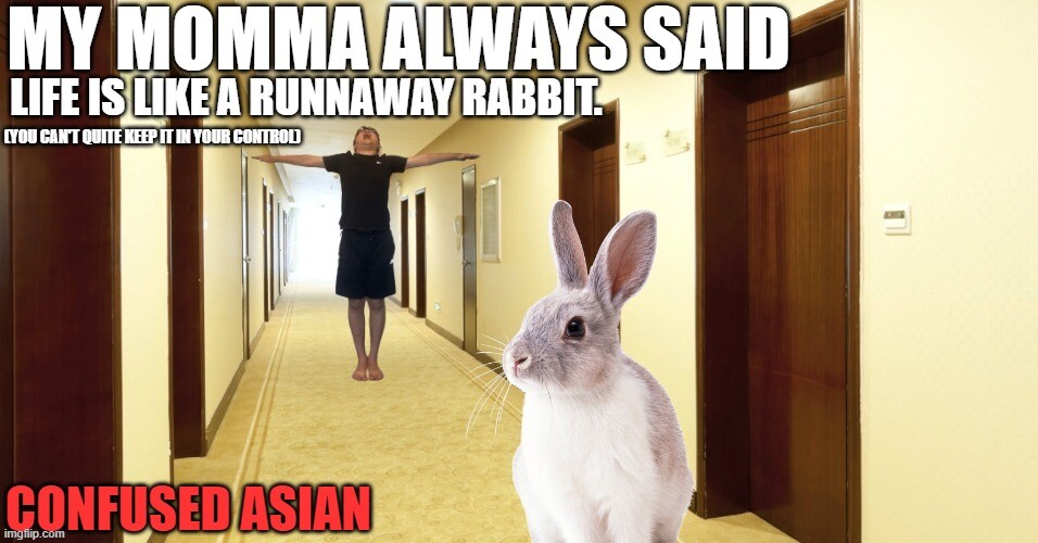 Rabbit Recontainment - FilmFreeway