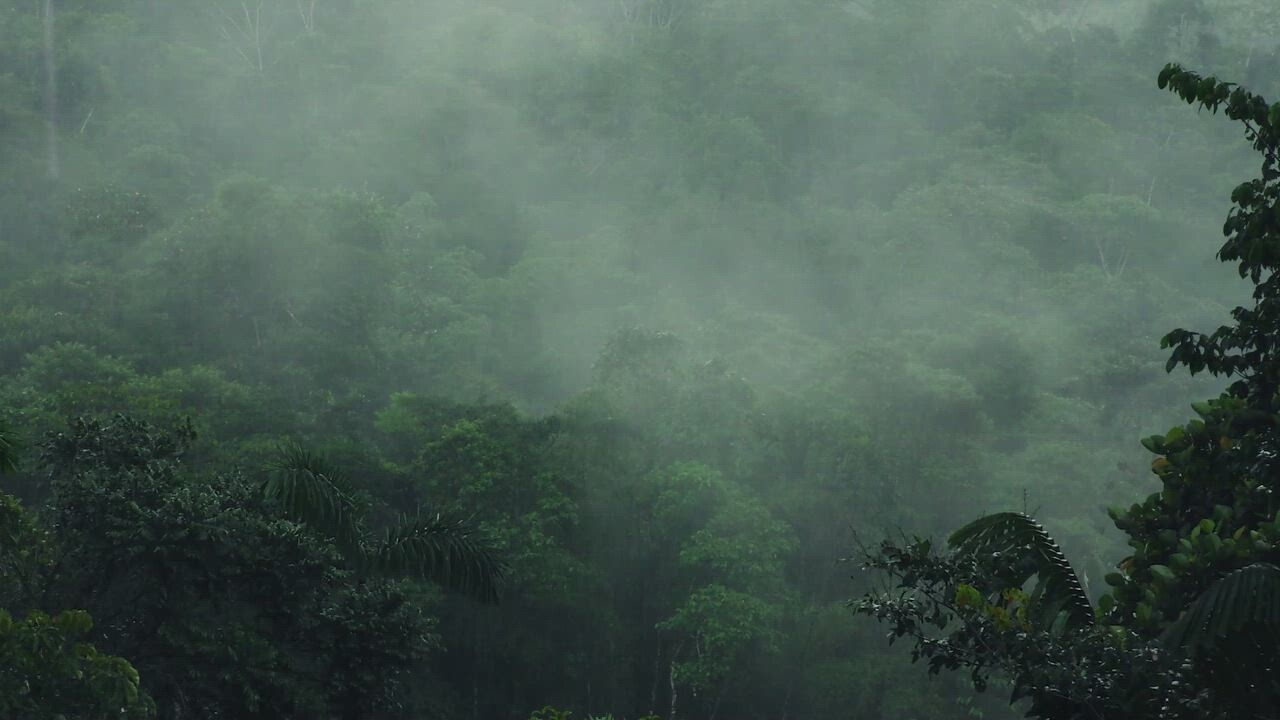 Rain that Swallowed the City - FilmFreeway