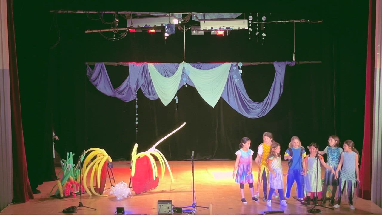 Nemo Day 2 All show - FilmFreeway