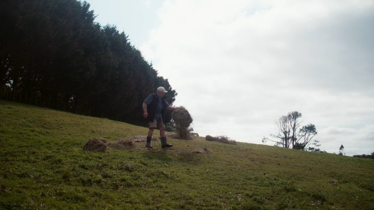 Sound in Wind and Limb - FilmFreeway