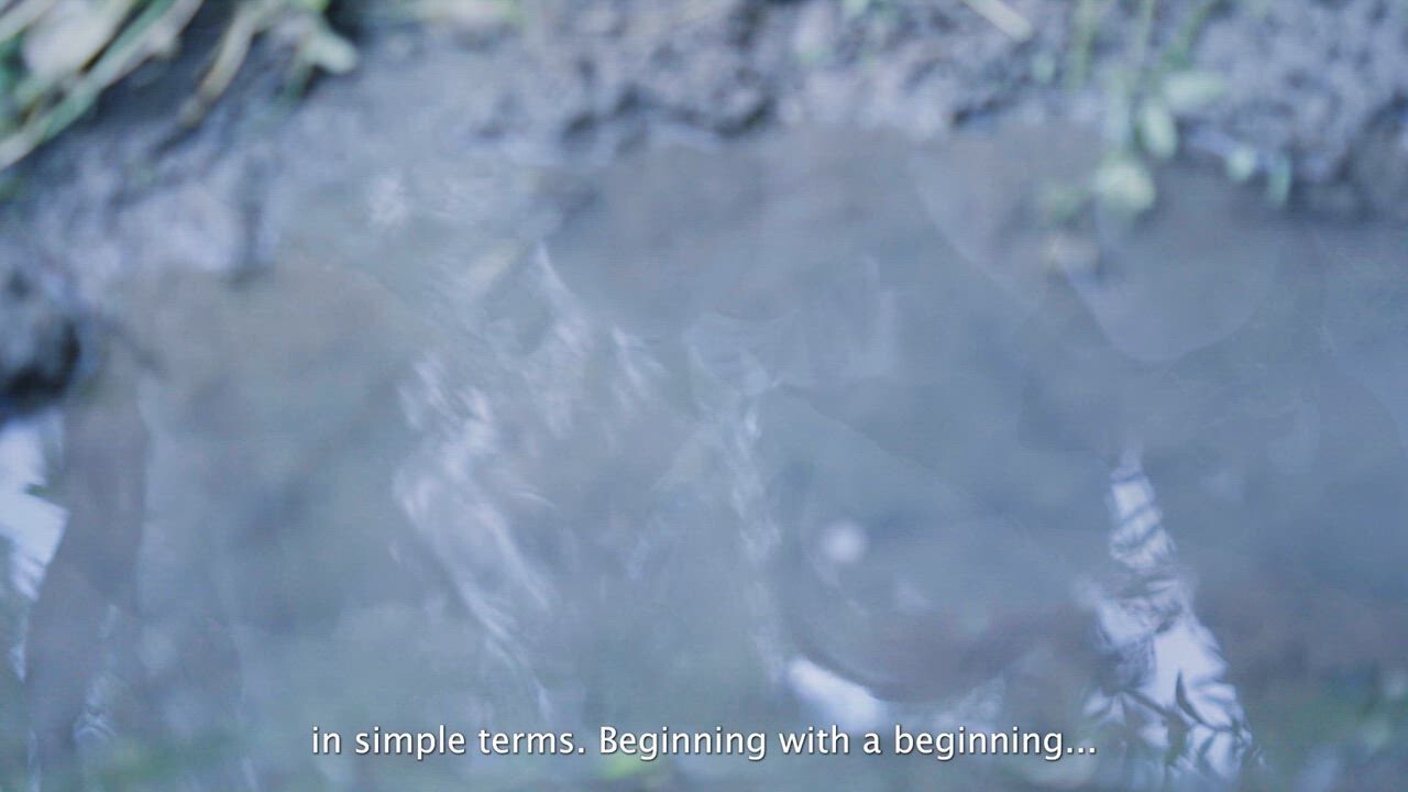 That Distant Snow - FilmFreeway