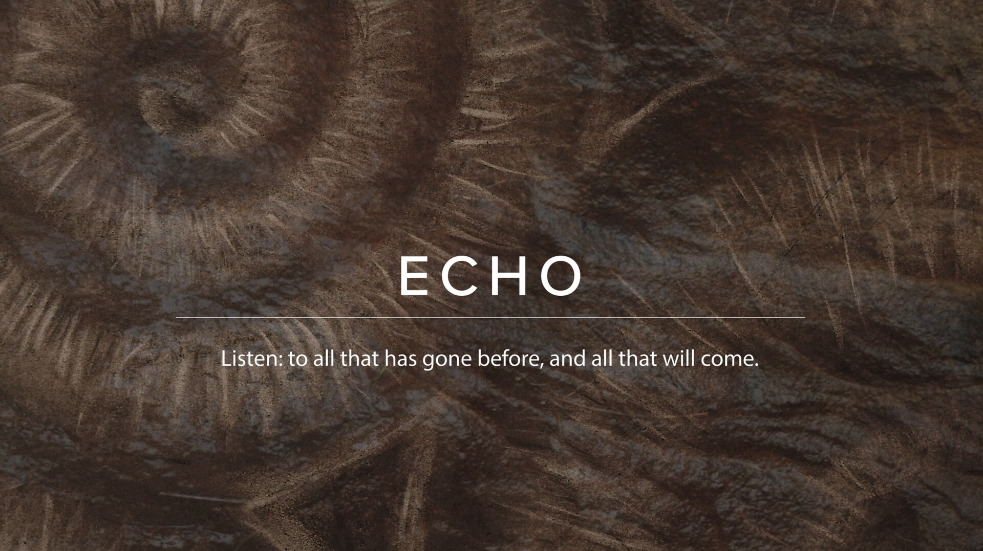 Echo - FilmFreeway