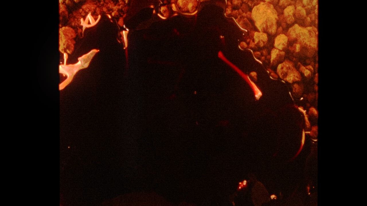 Viscerate - FilmFreeway