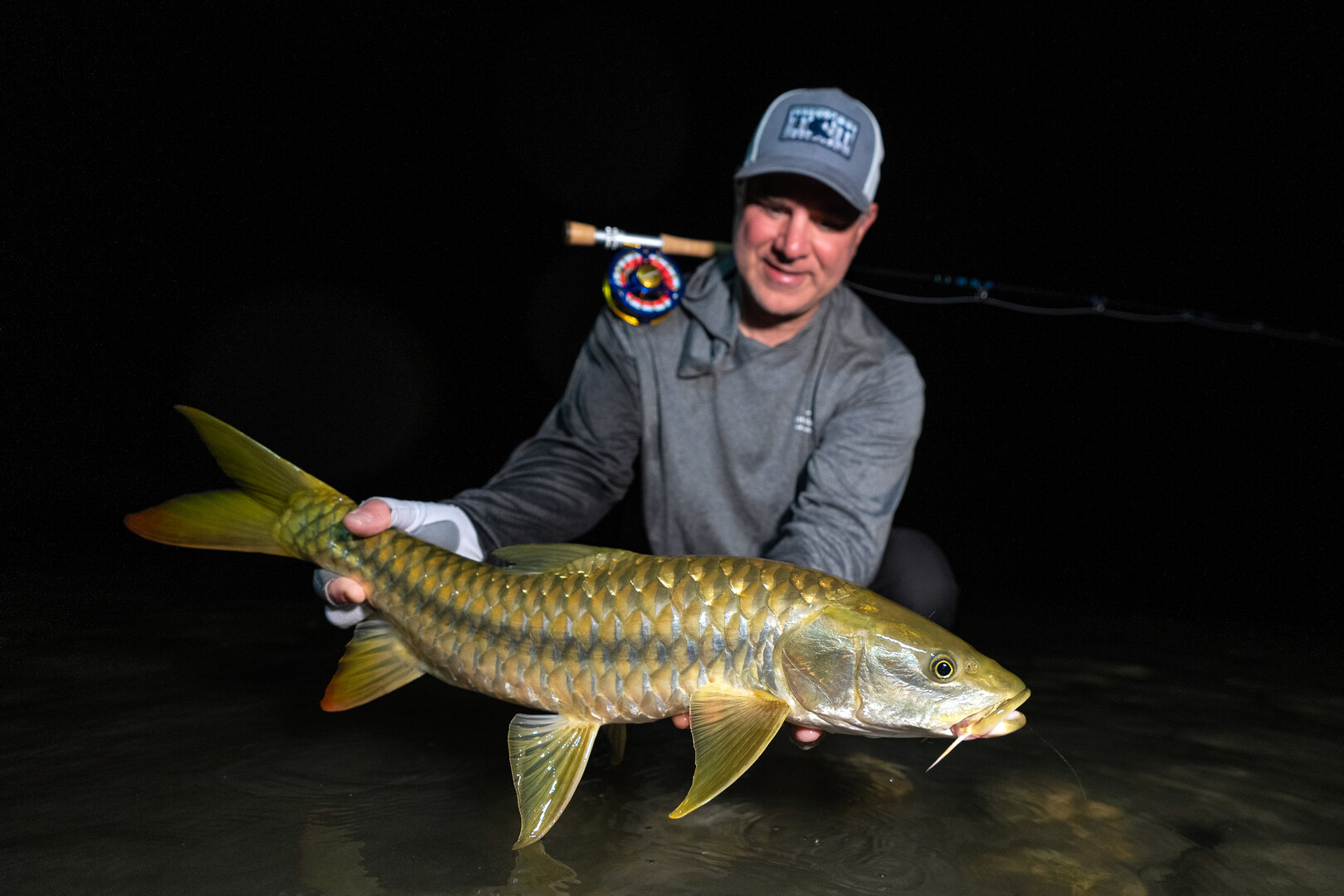 Himalayan Gold - FilmFreeway