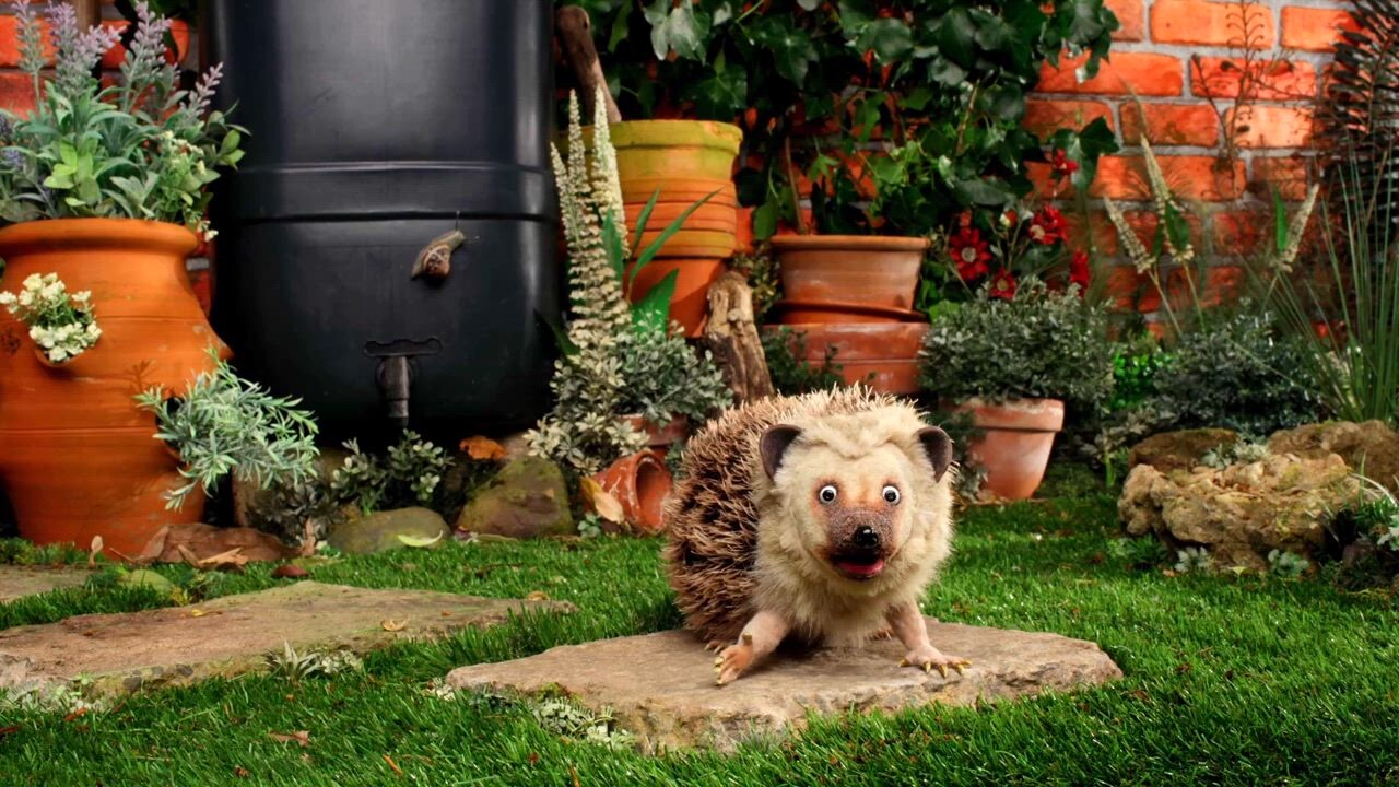 EVEN WILDER IDEAS ABOUT FLOODING - FilmFreeway