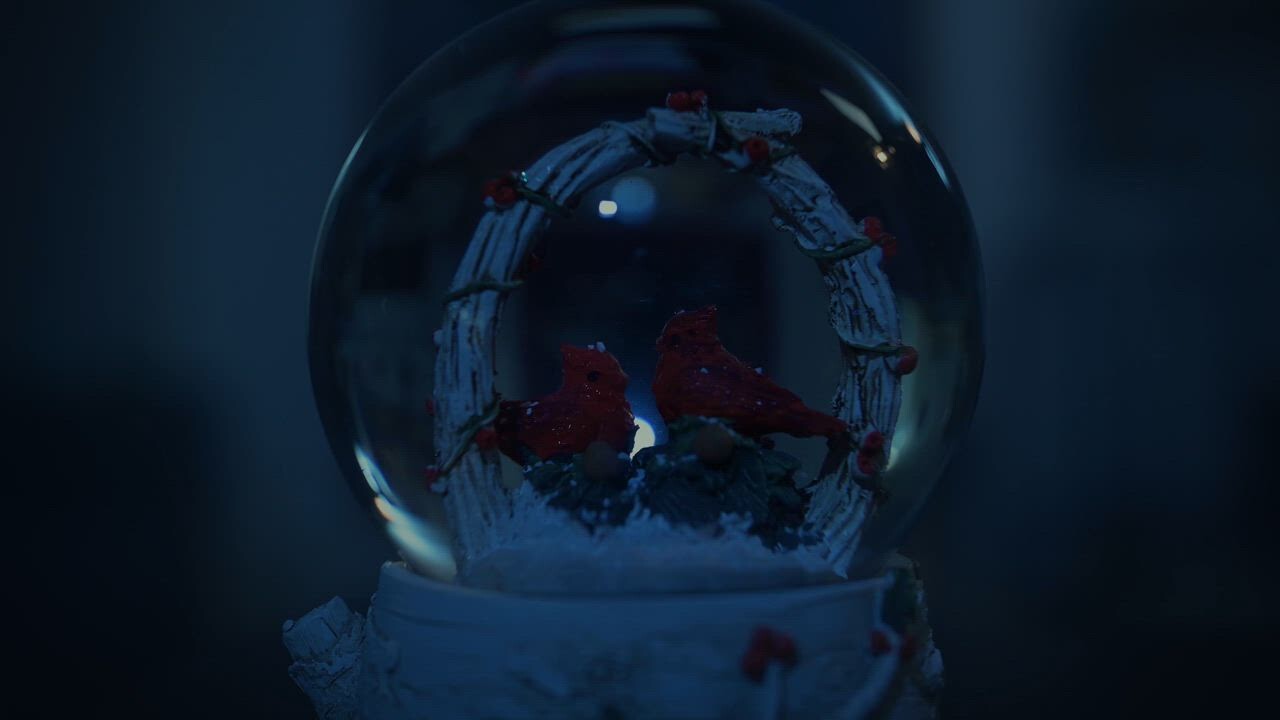 The Canaries - FilmFreeway