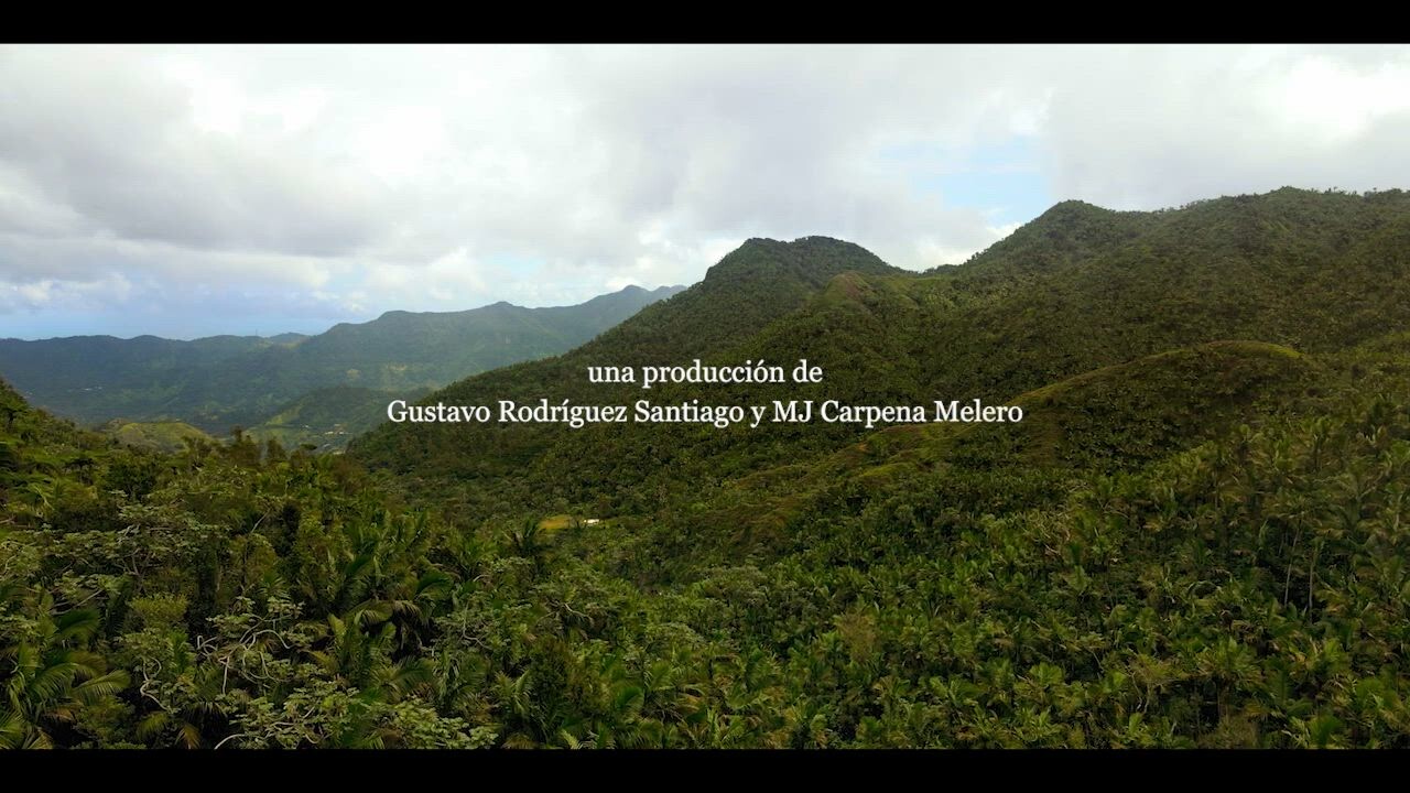 Georgina - FilmFreeway