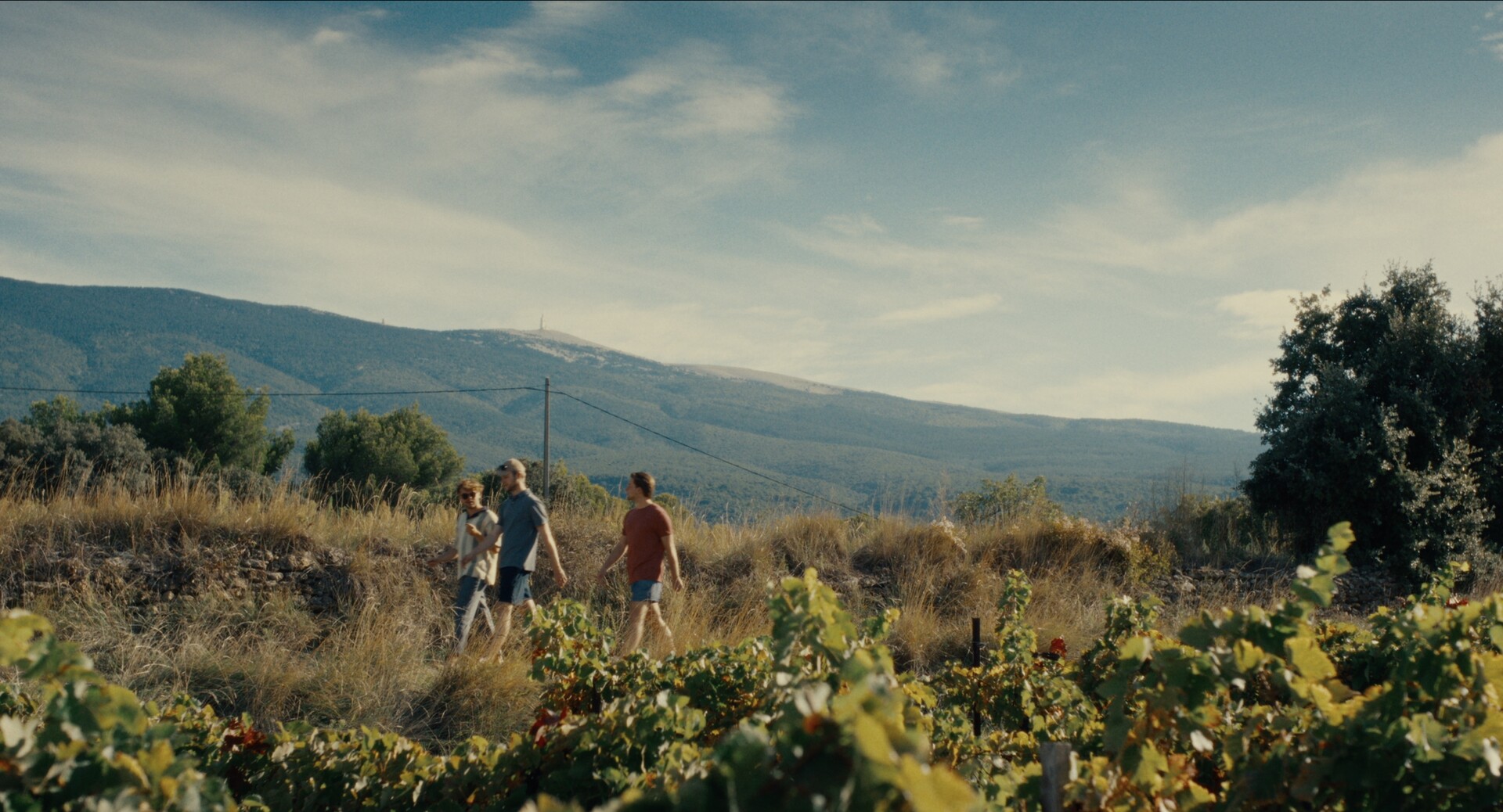 Sparrow - FilmFreeway