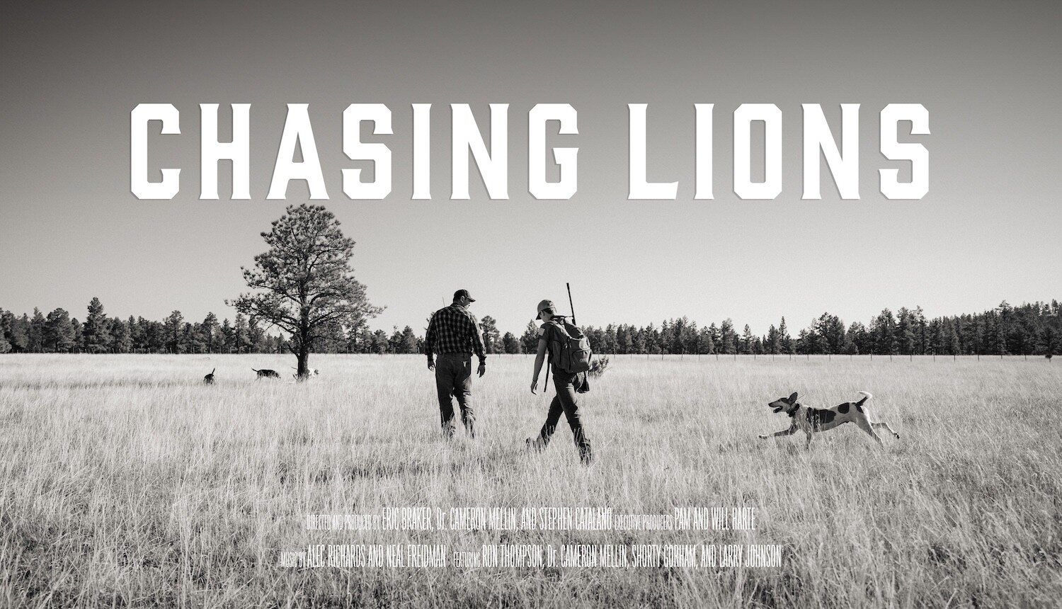 Chasing Lions - FilmFreeway