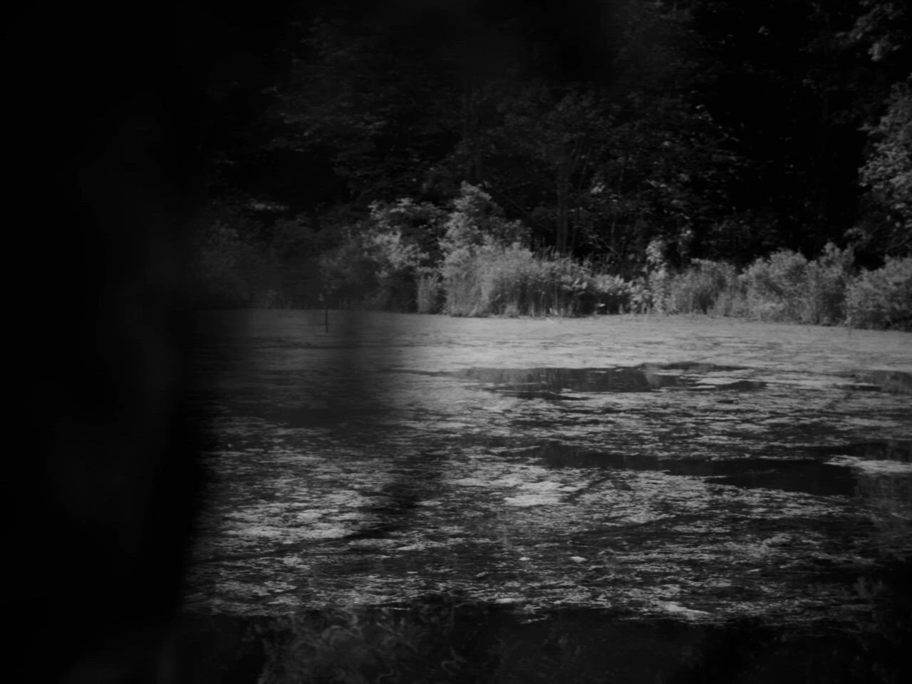 Alice and the Fishing Pond - FilmFreeway