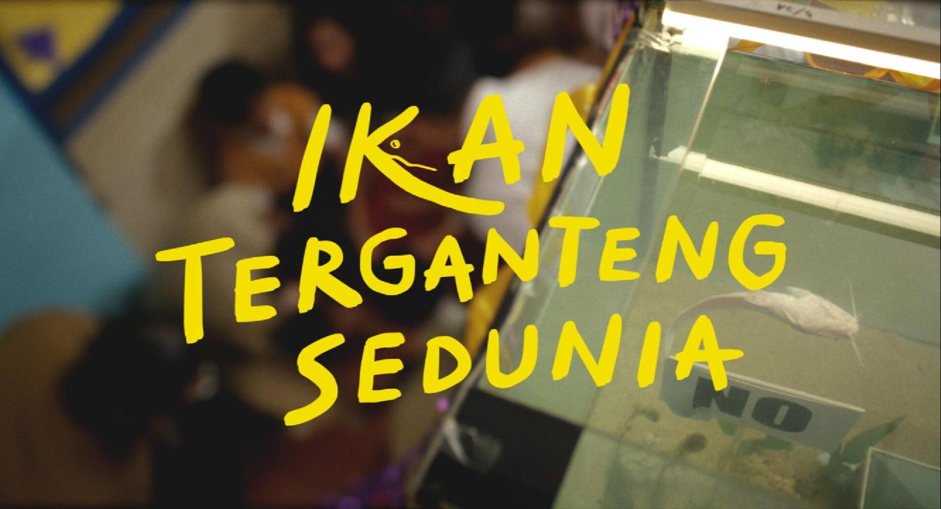 The Most Handsome Fish on Earth - FilmFreeway