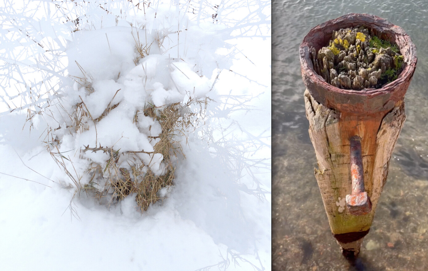 POST – POST - FilmFreeway