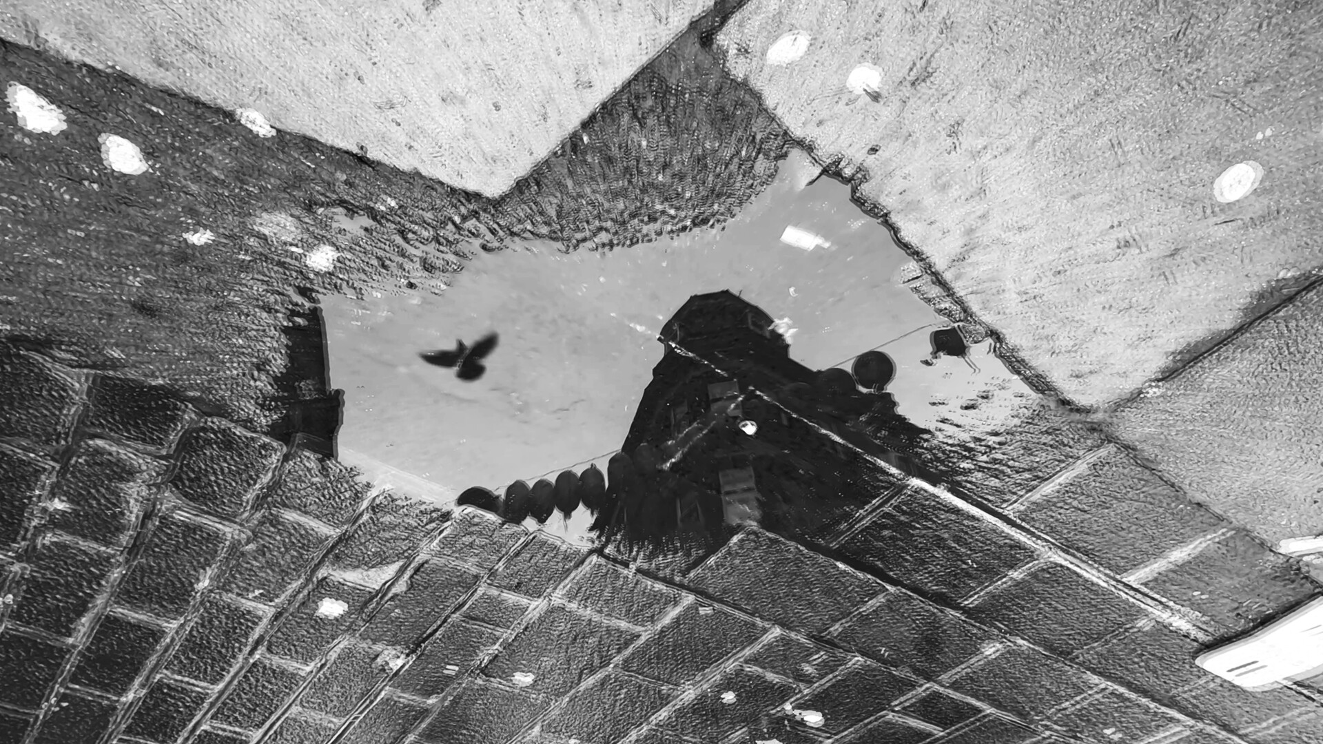 City Dreams - FilmFreeway