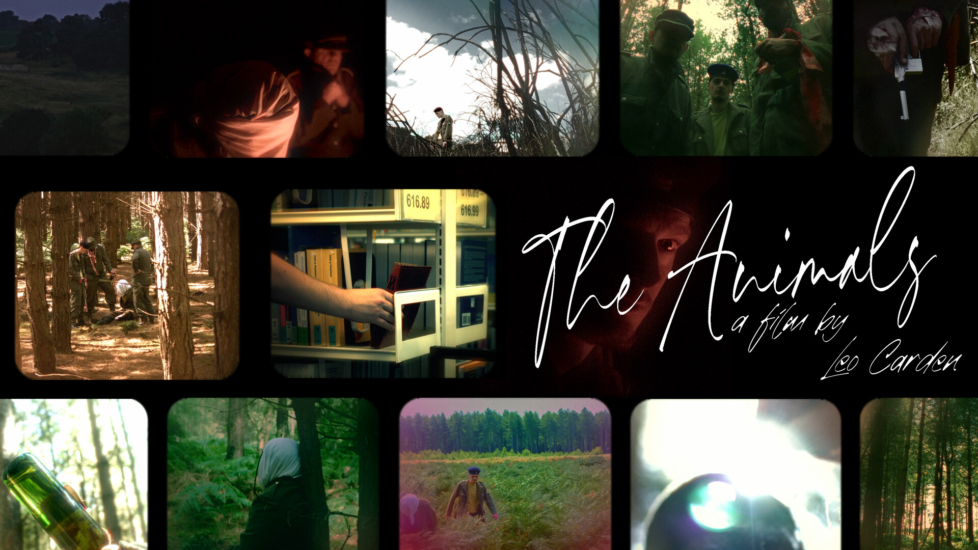 The Animals - FilmFreeway