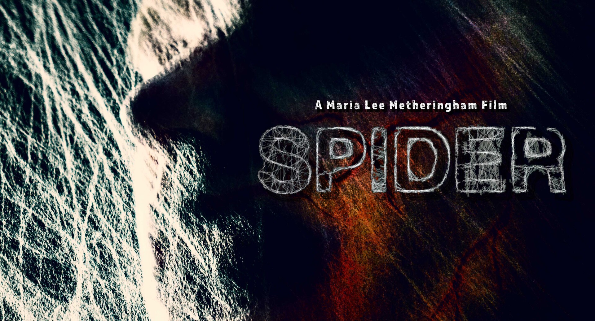 Spider - FilmFreeway