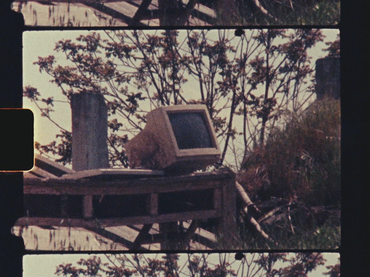 Raspberry Smile - FilmFreeway