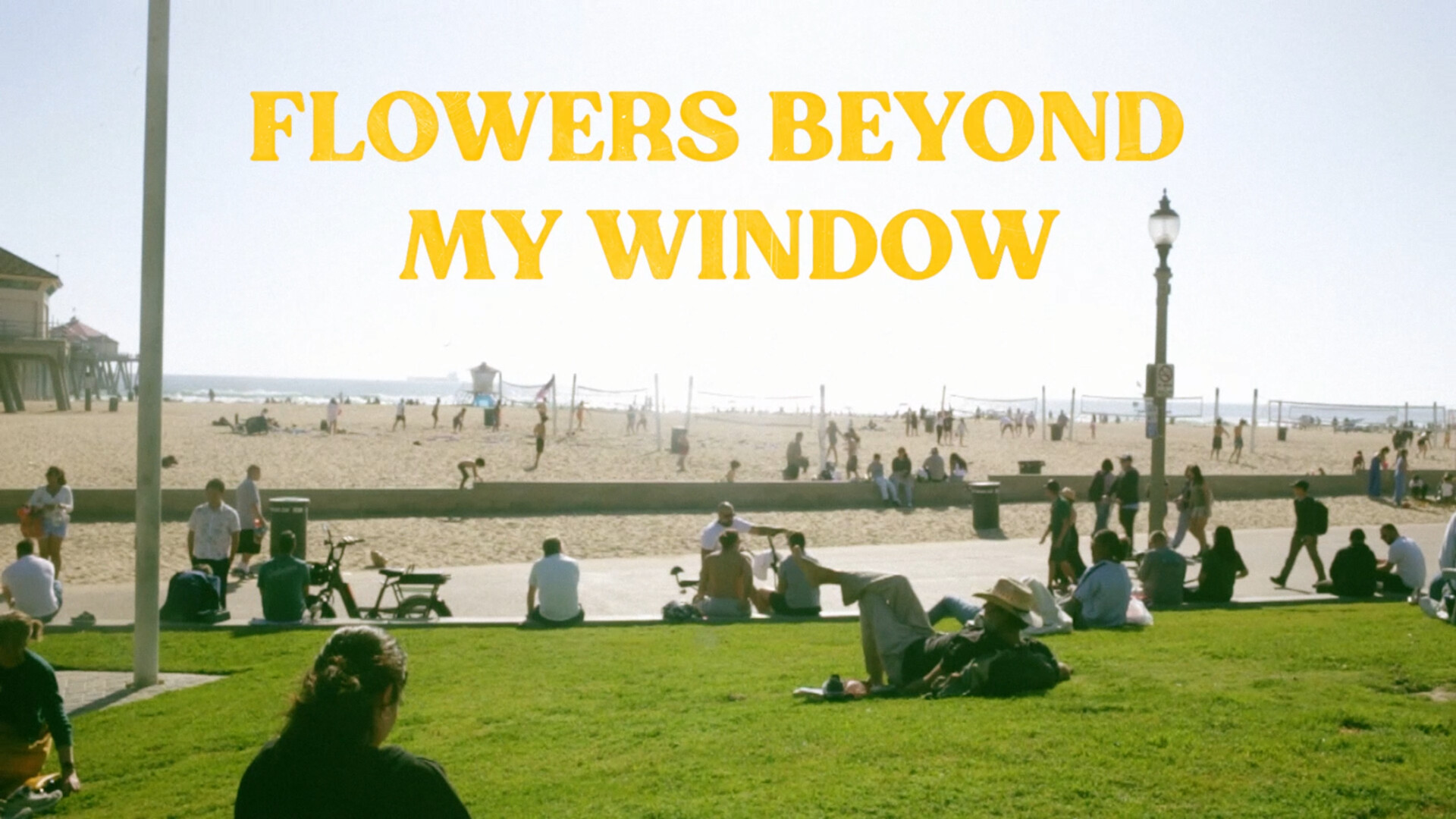 Flowers Beyond My Window - FilmFreeway