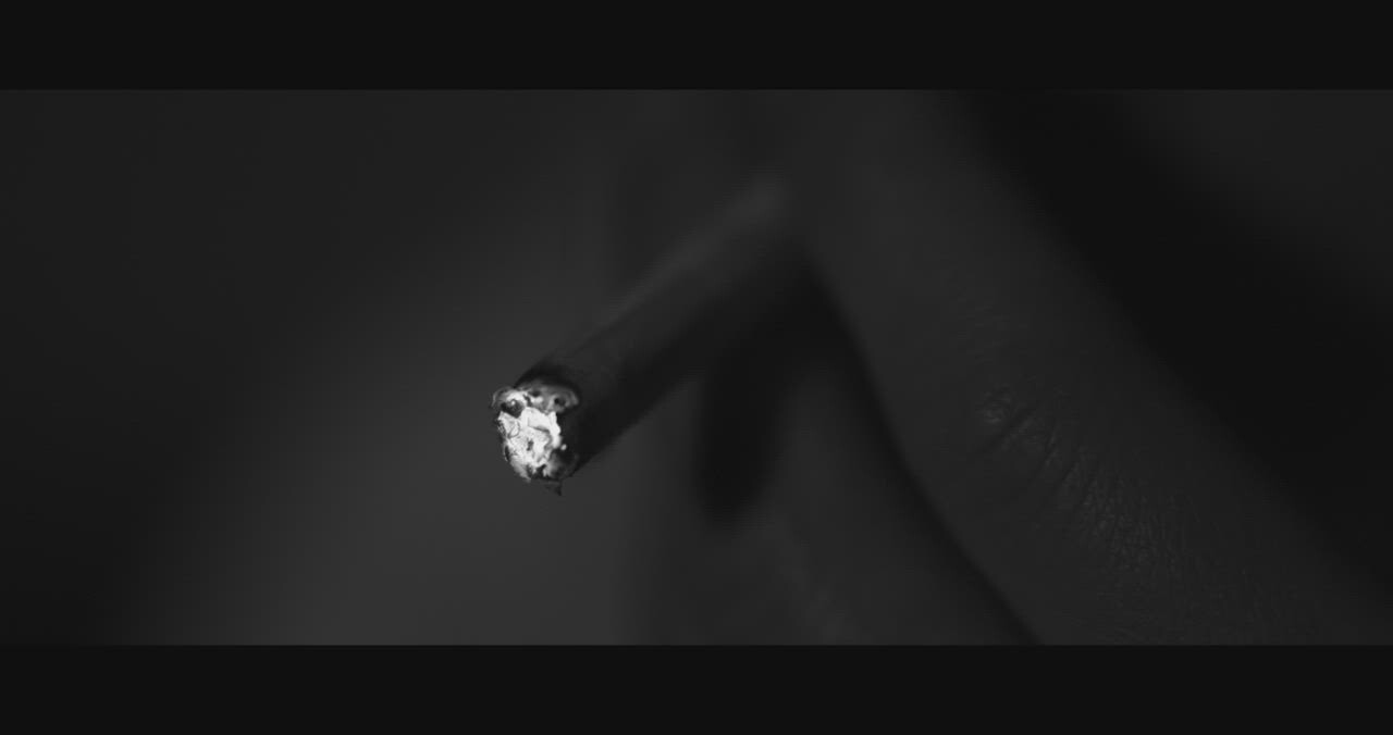 Chasing Shadows - FilmFreeway