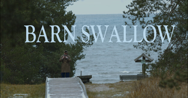Barn Swallow - FilmFreeway