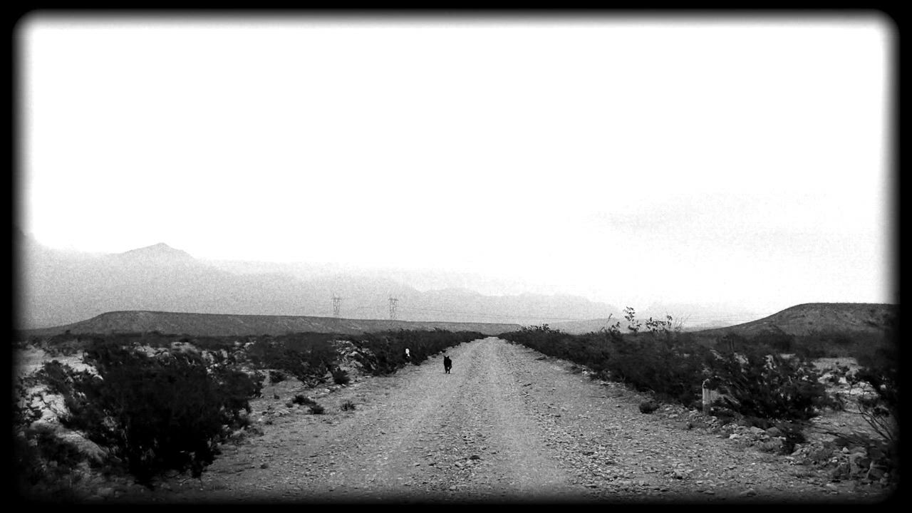 Amergin (Full version with subtitles) - FilmFreeway