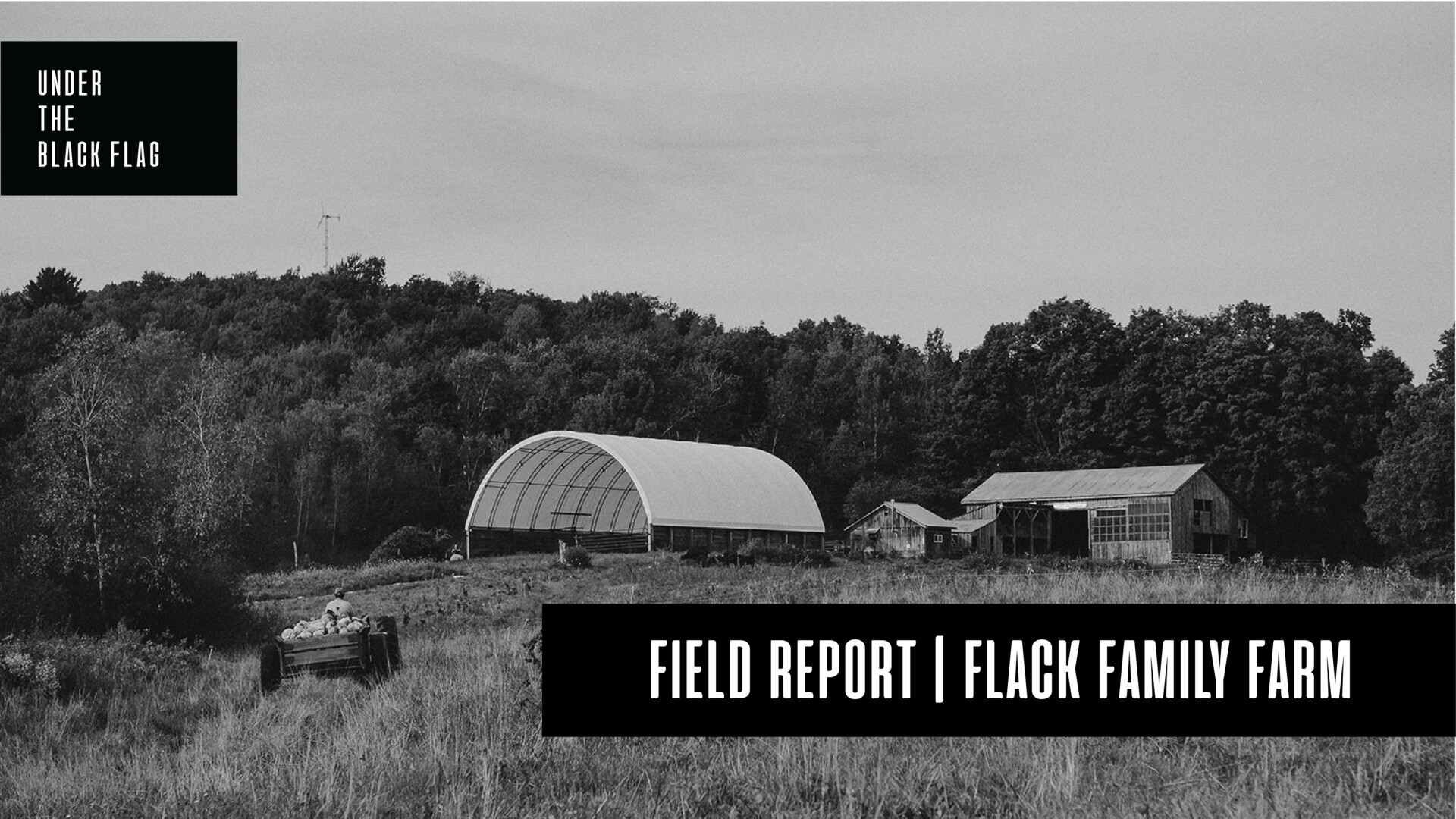 FIELD REPORT | FLACK FAMILY FARM - FilmFreeway