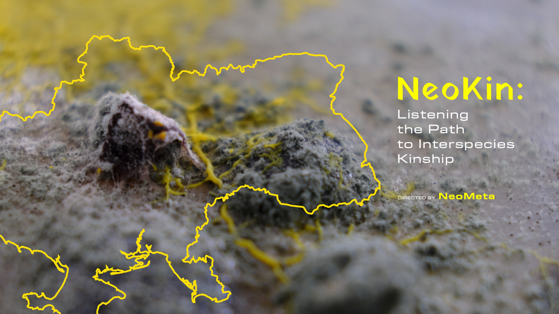 NeoKin - FilmFreeway