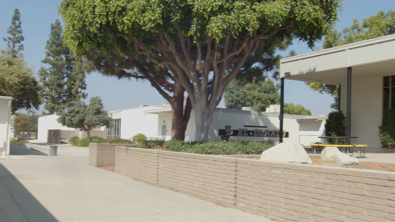 Self Interview - FilmFreeway