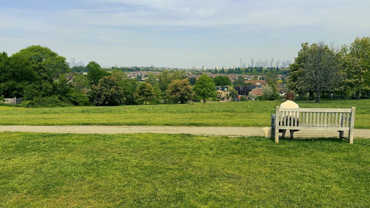 Bench - FilmFreeway