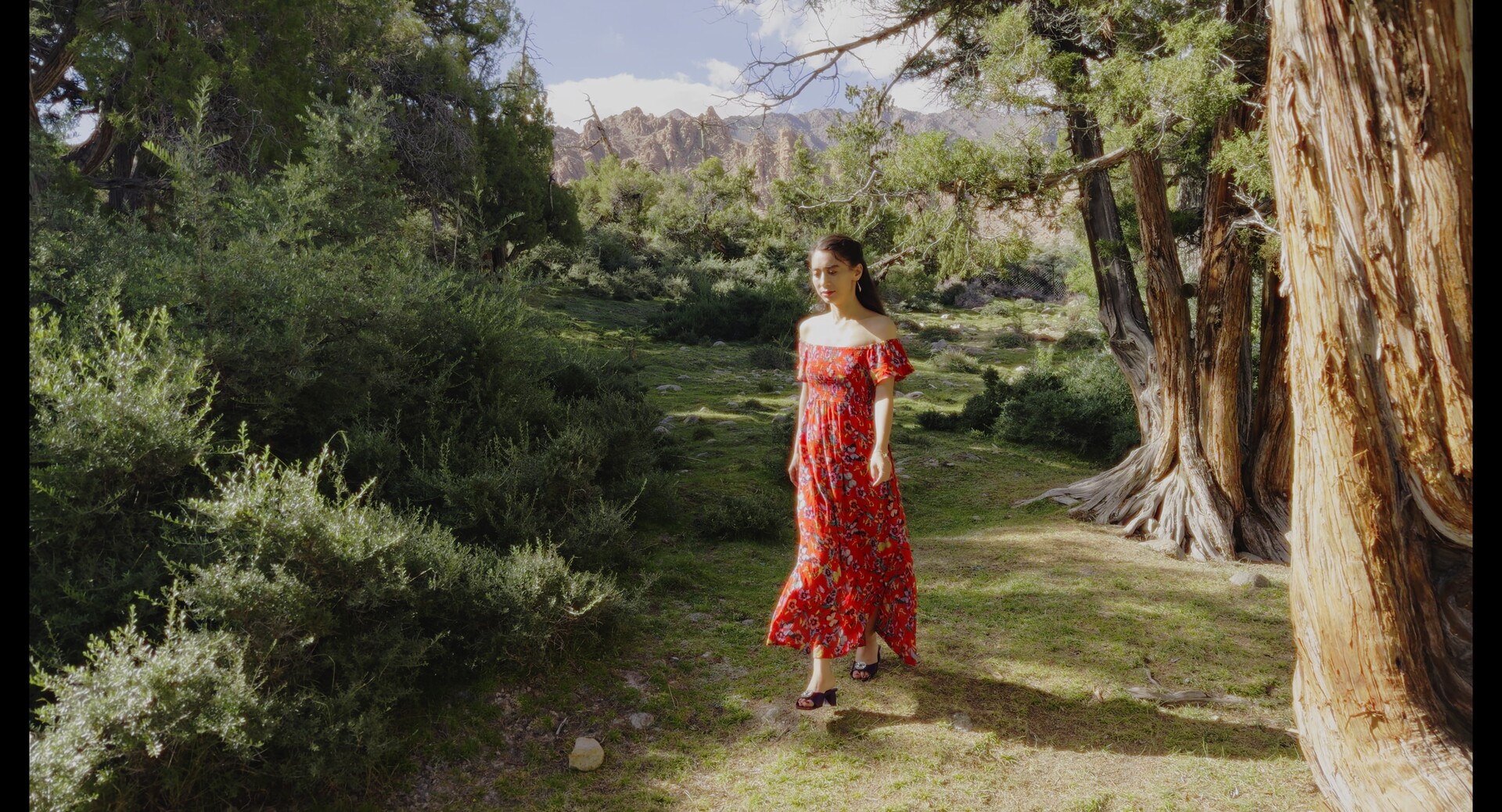 MOMENTS OF JOY - FilmFreeway