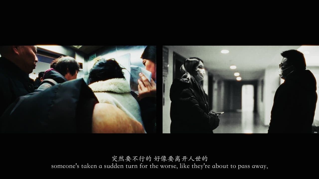 rough cut｜Leaves Return to the Roots - FilmFreeway