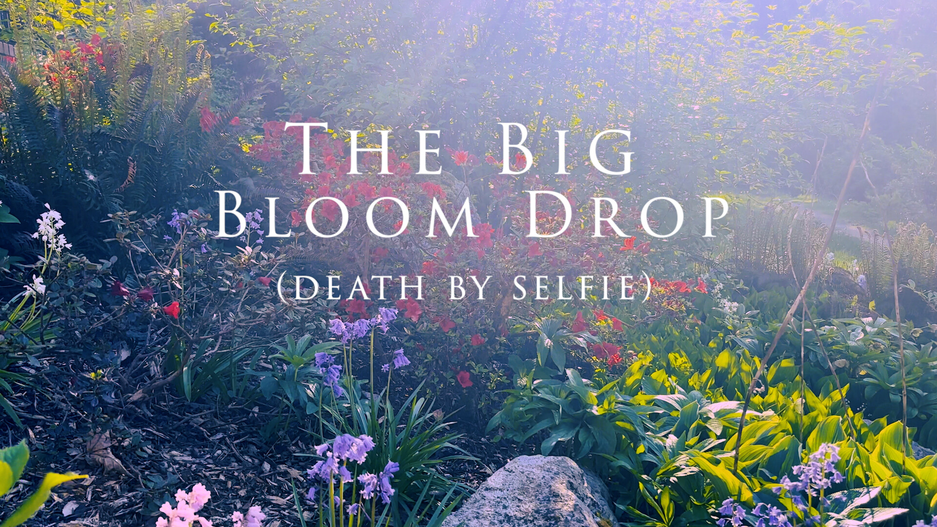 The Big Bloom Drop (Death by Selfie) - FilmFreeway