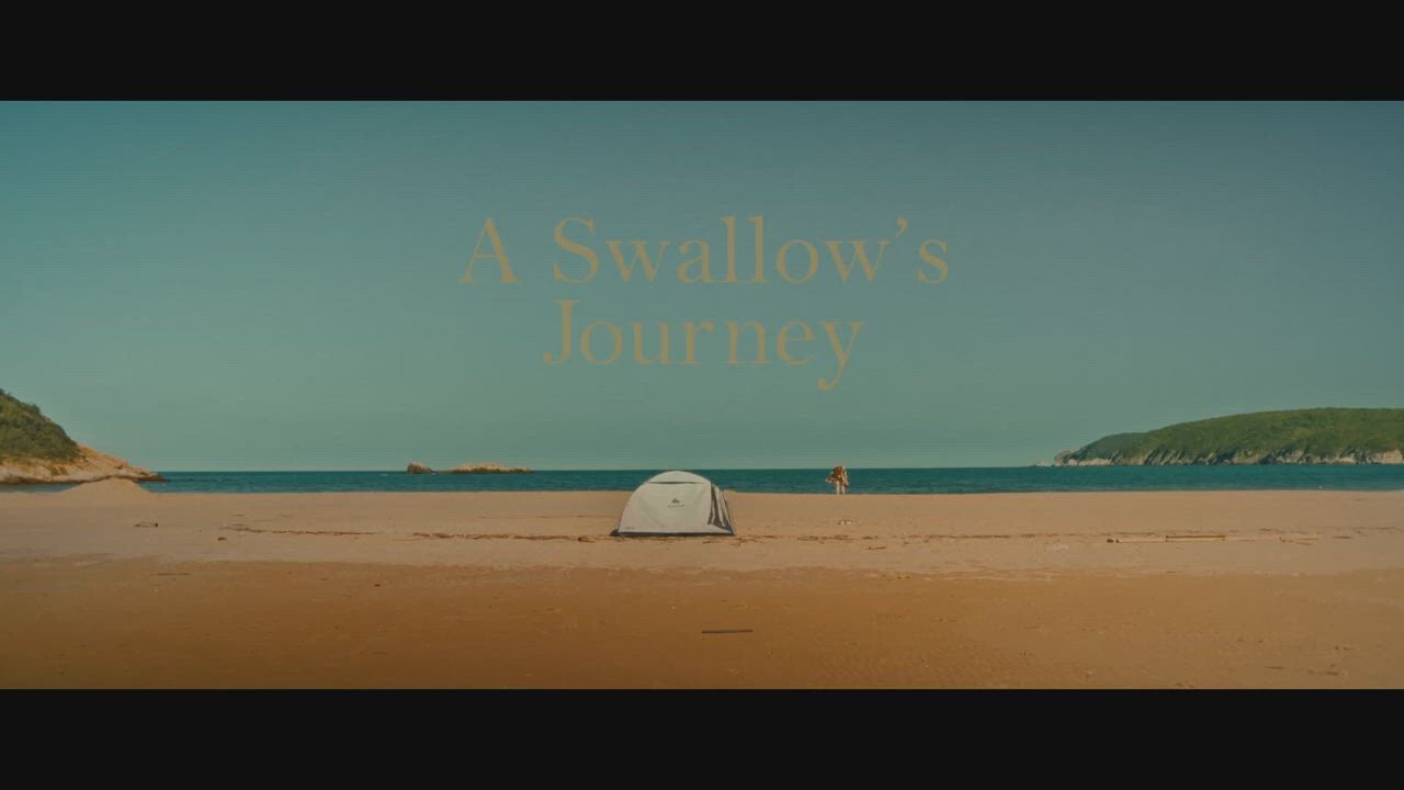 A Swallow's Journey - FilmFreeway