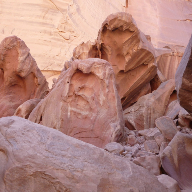 Charlie Canning - FilmFreeway