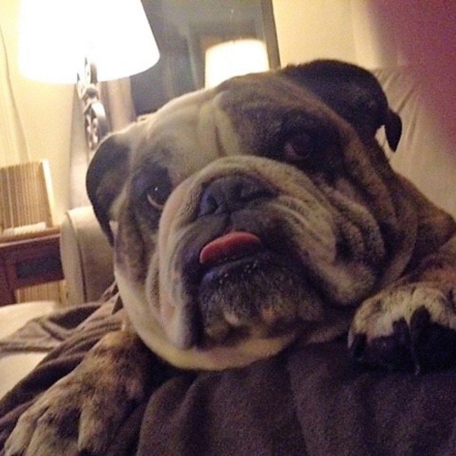 Tom Vecchio - FilmFreeway