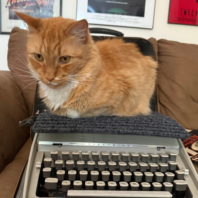 Troy Bush - FilmFreeway