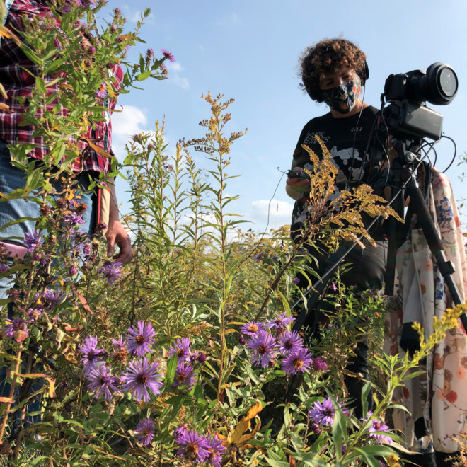 Mée Rose - FilmFreeway