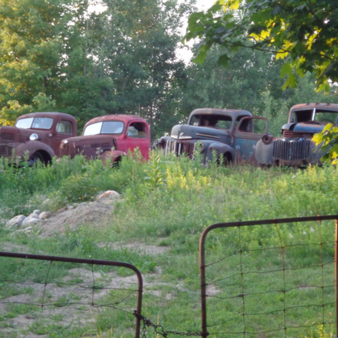 Carolyn Eller - FilmFreeway